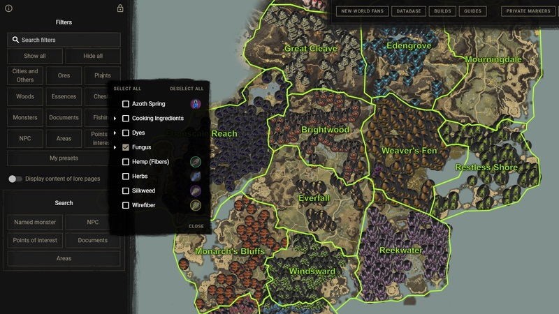 New World Arcana Guide - StudioLoot